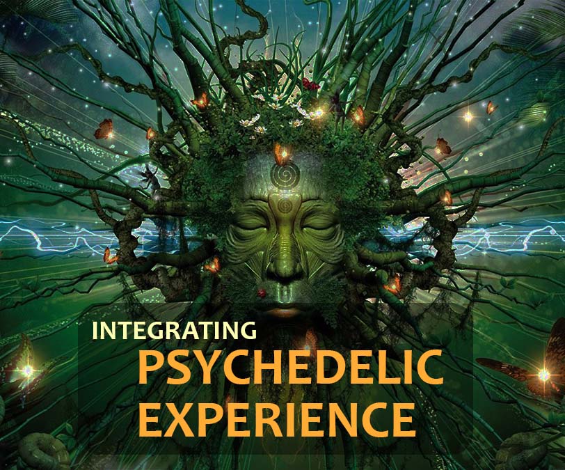 Workshop: Integrating psychedelic experiences - Applied Jung