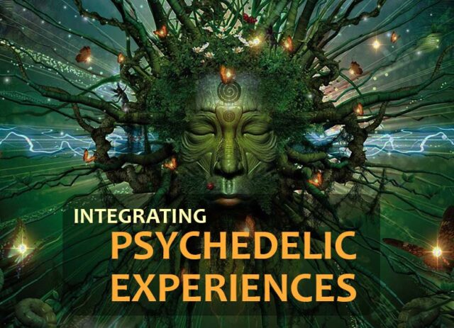 Workshop: Integrating psychedelic experiences - Applied Jung